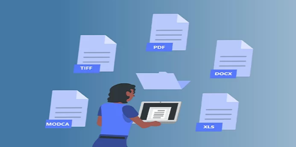 Supported File Formats | MS Technology